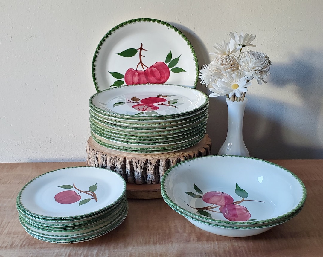 Vintage Blue Ridge Southern Pottery Quaker Apple Dinnerware, 21 Piece ...