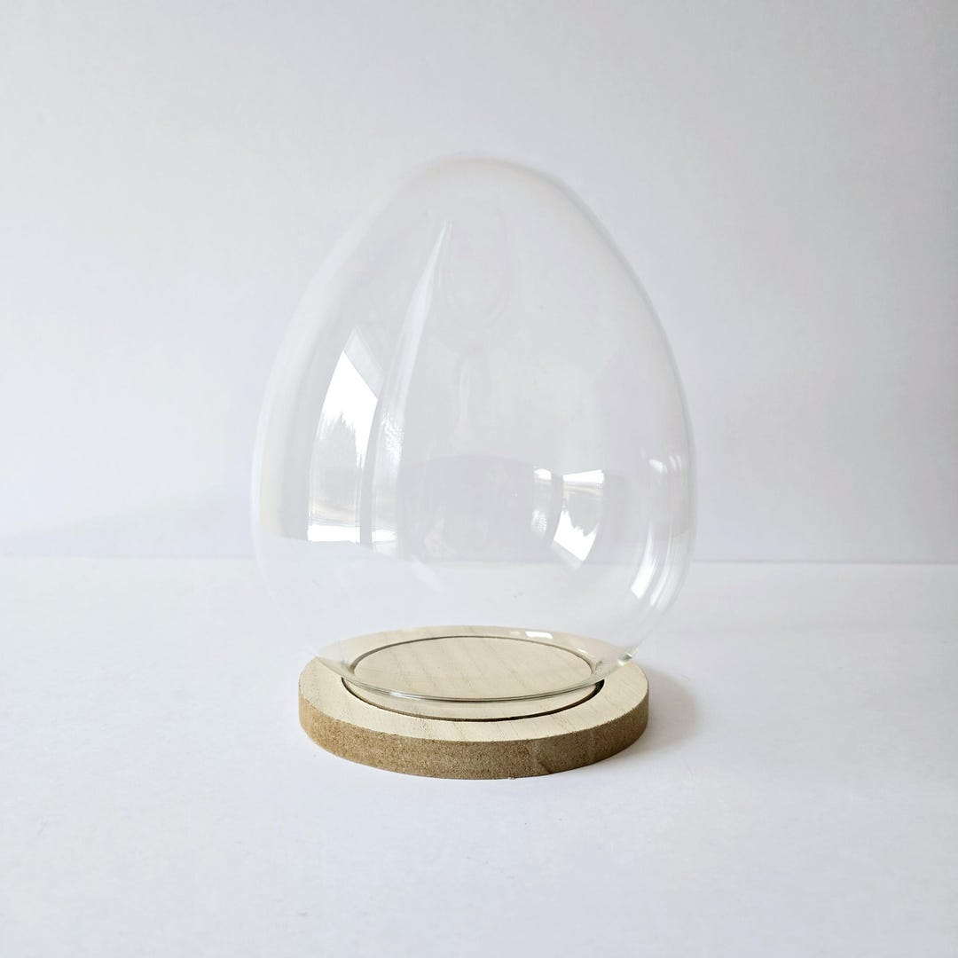 Egg Glass Dome With Wood Base 8" Vintage Glass Cloche /details in ...