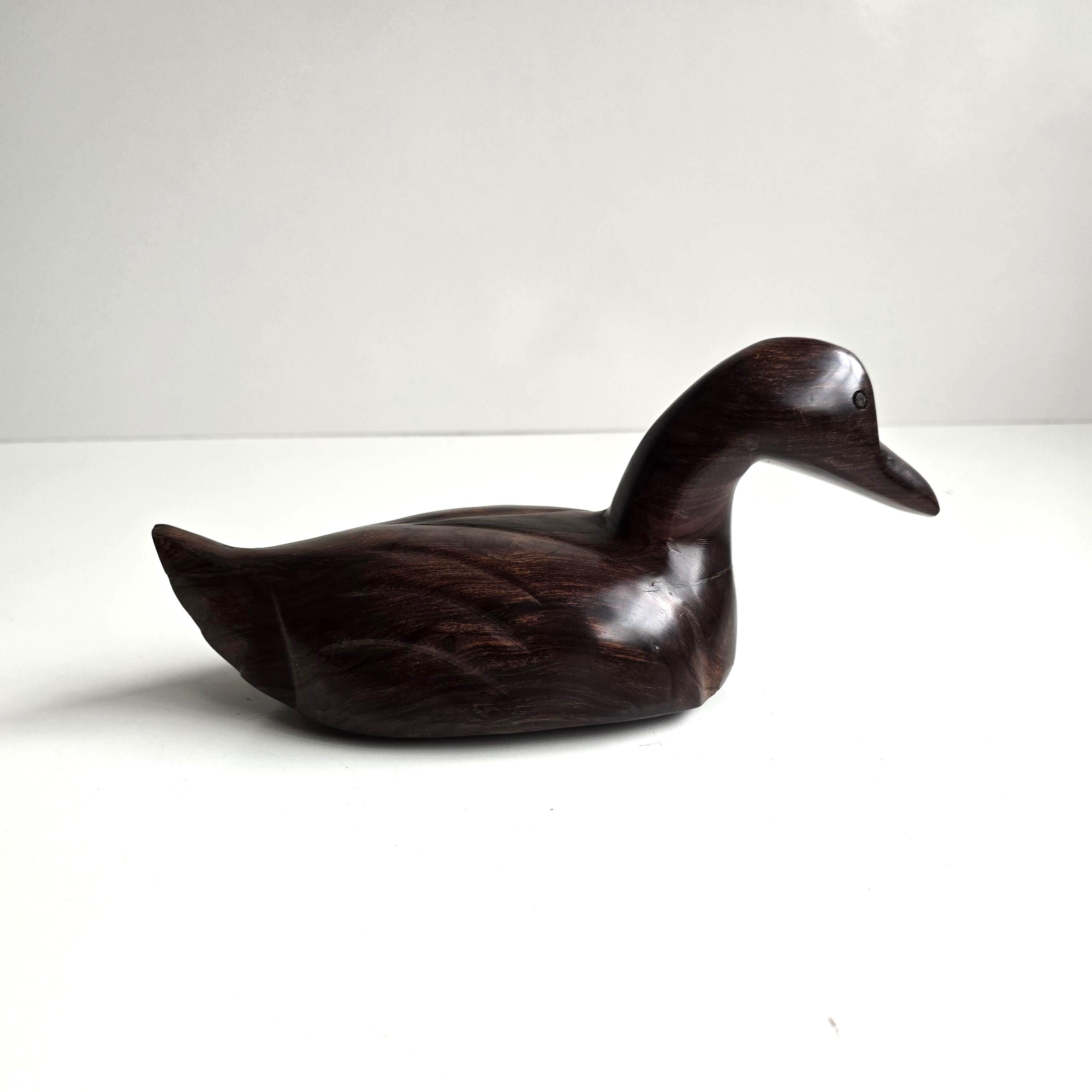 Wood Duck 10