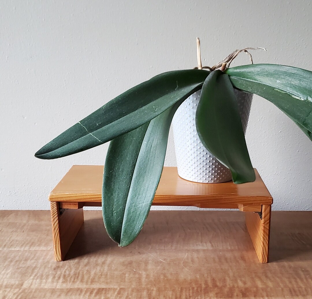 Vintage Wood Plant Stand for Countertop - Etsy