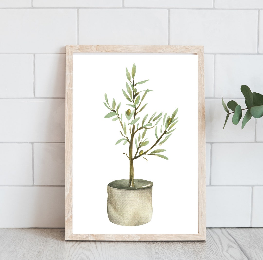 Olive Tree Print - Farmhouse Wall Decor - Botanical Print - Instant ...