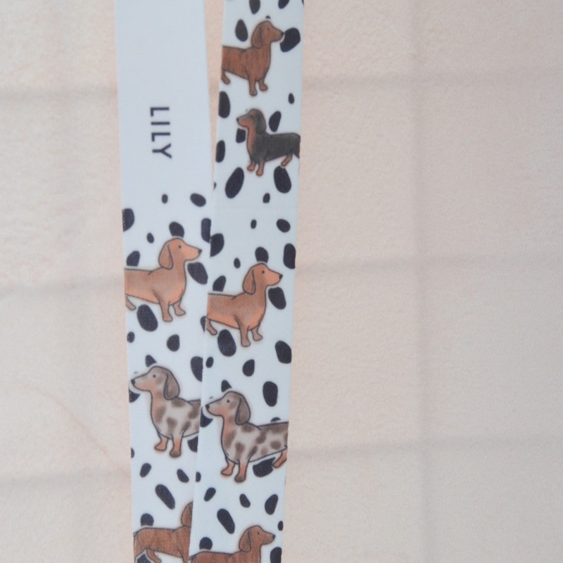 Dog Lover Teacher Gift - 60+ Gift Ideas for 2026