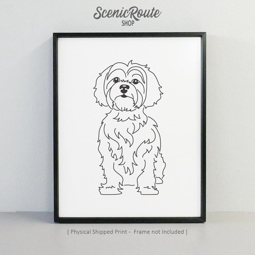 Maltese Terrier Dog Drawing Art Print (unframed), Maltese Line Art ...