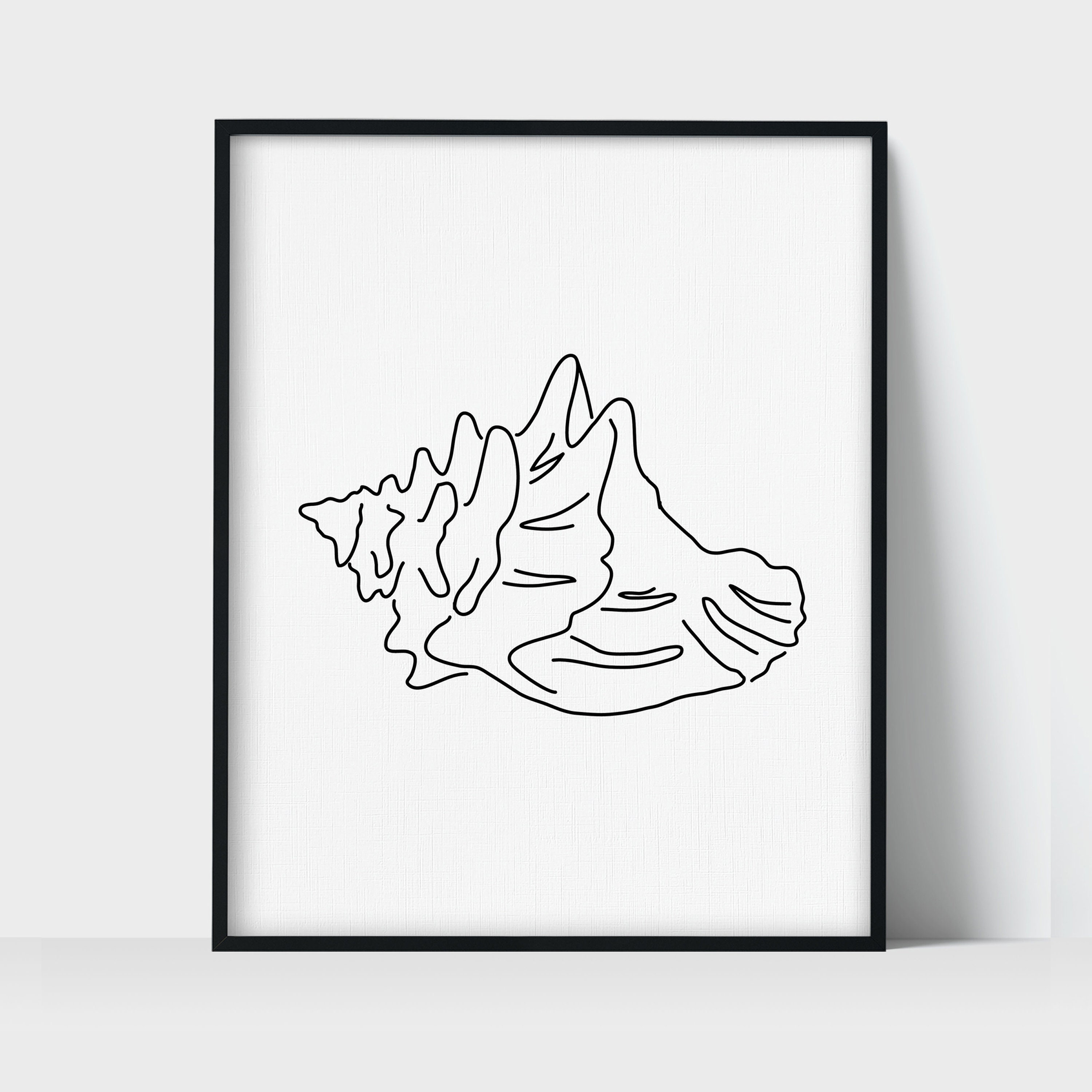 Conch Shell Line Drawing