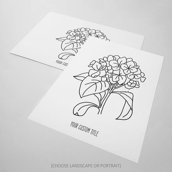 Simple Hydrangea Drawing