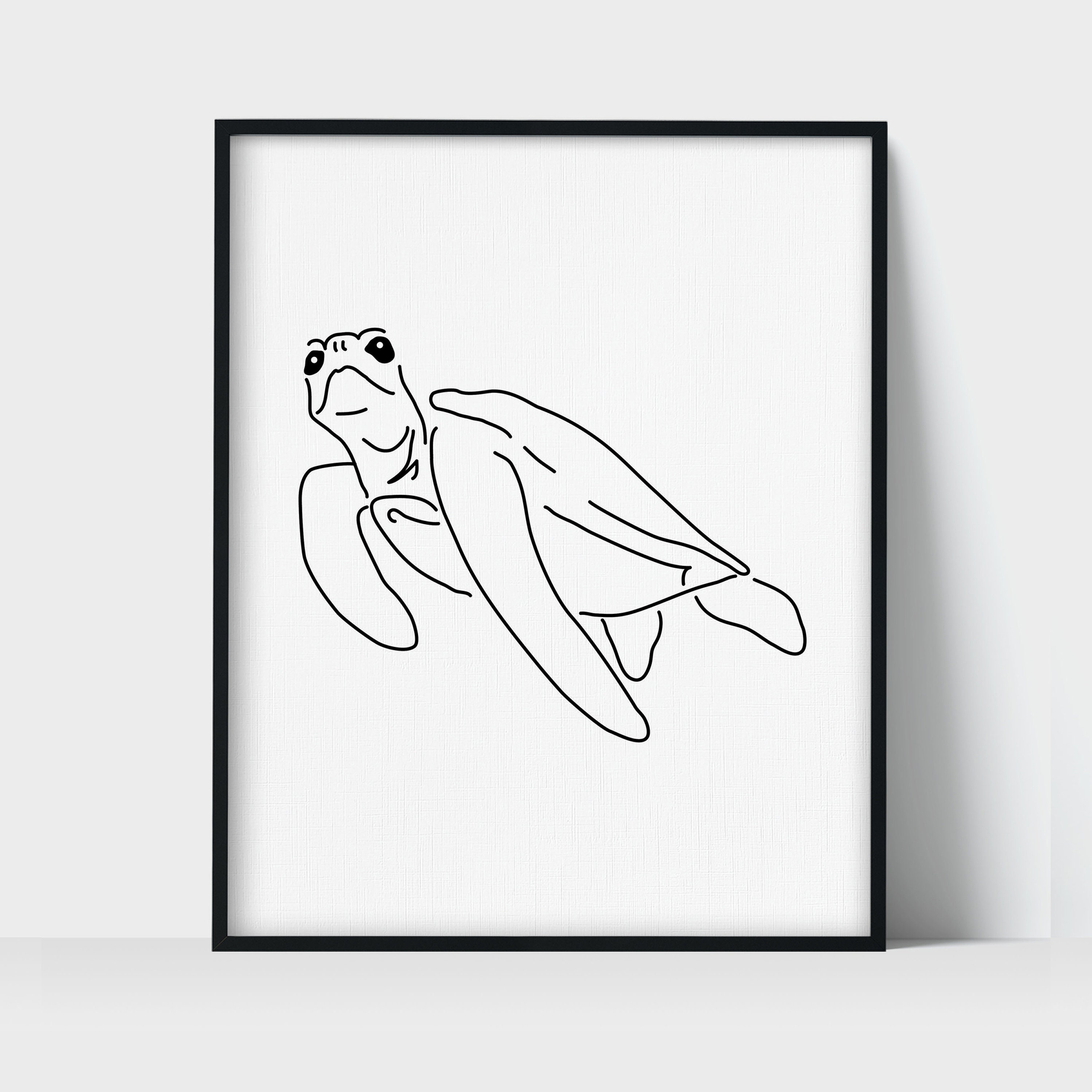 Turtle Outline Drawing