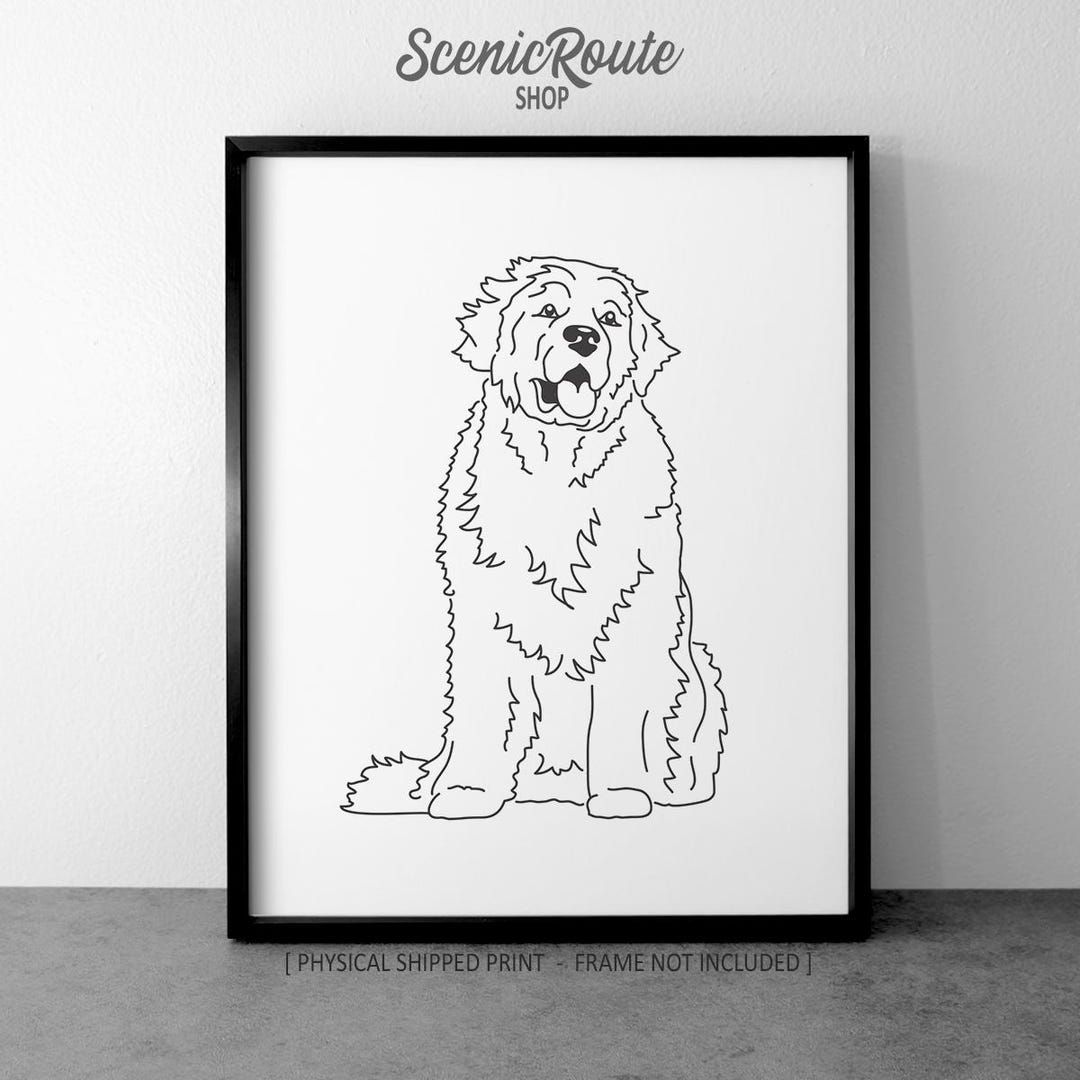 Newfoundland Drawing Art Print: Personalized Dog Pet Portrait ...