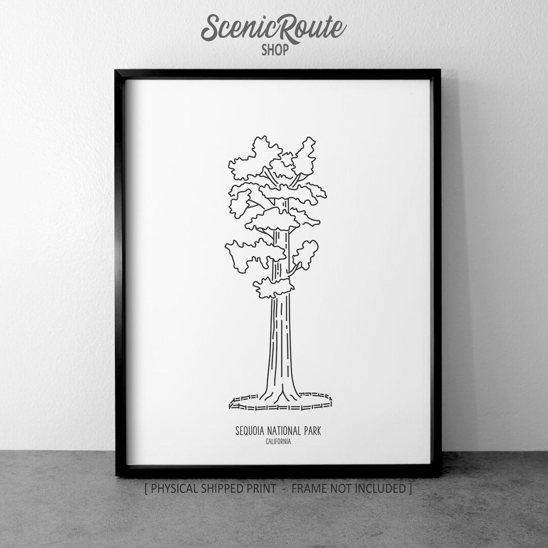 Sequoia National Park Line Art Print: California Travel Poster - Etsy