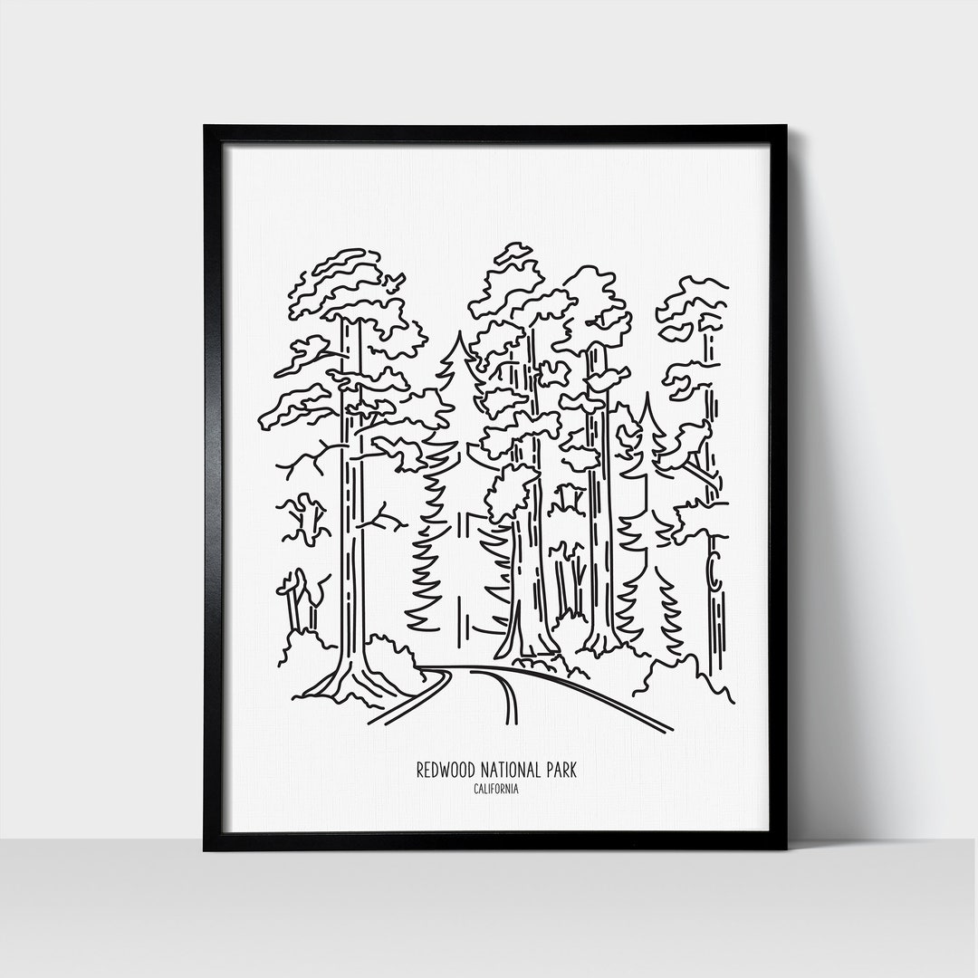 Redwood National Park Line Art Print Unframed Physical Print Black ...