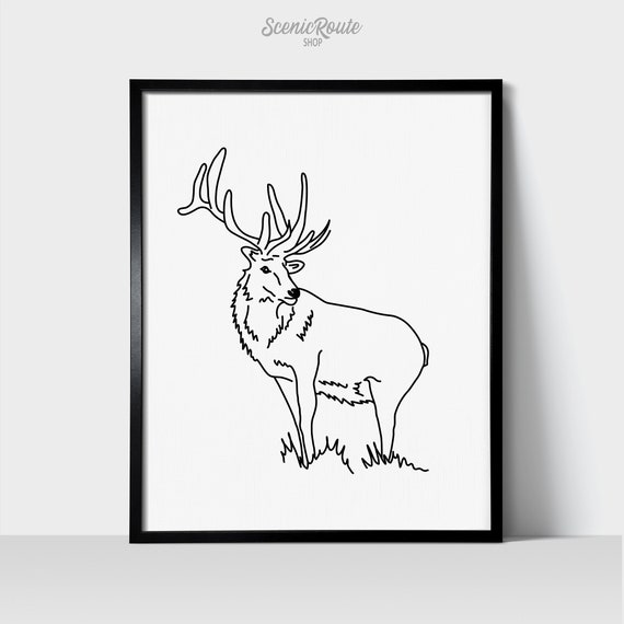 Elk Drawings Front View
