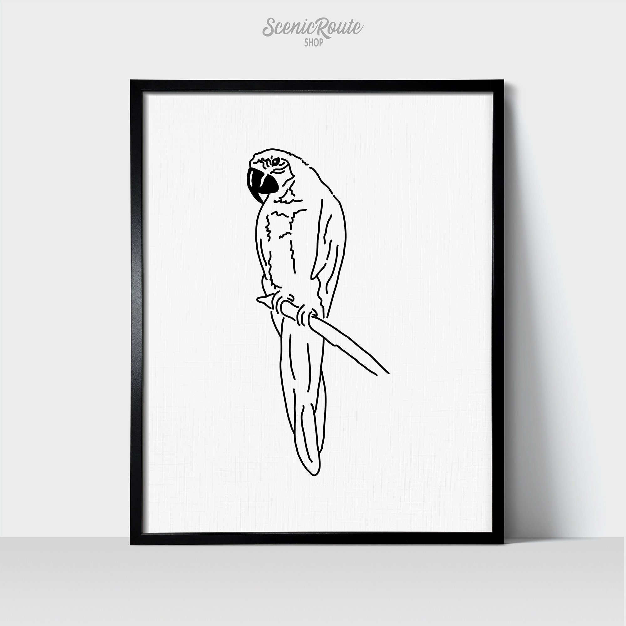 Parrot Outline Drawing