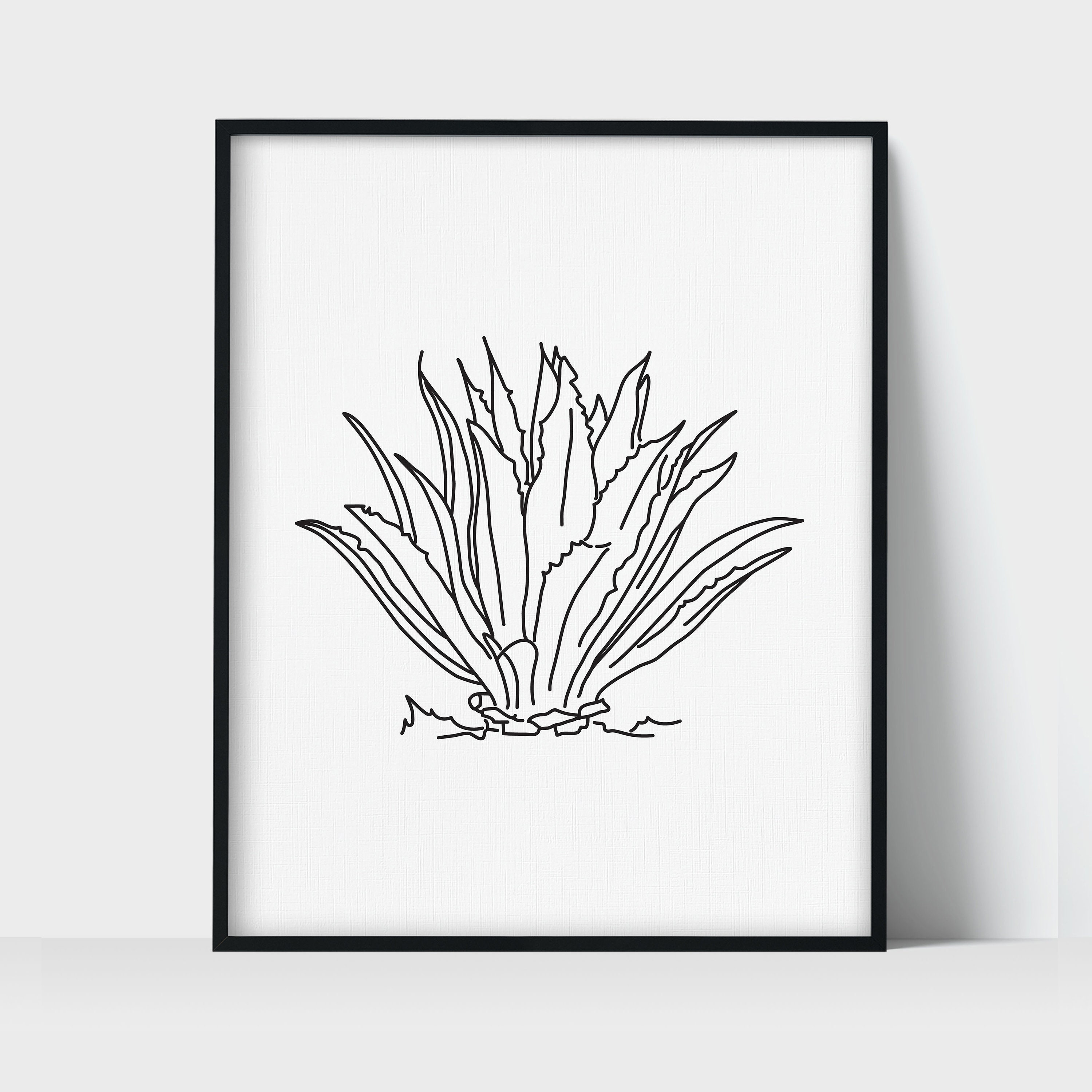 Agave Drawing