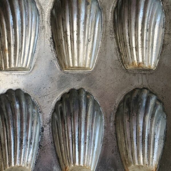 Madeleine Cookies - Etsy