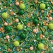 Edible Sprinkles - Luck of the Irish - St Patrick's Day Sprinkles - 8 ...
