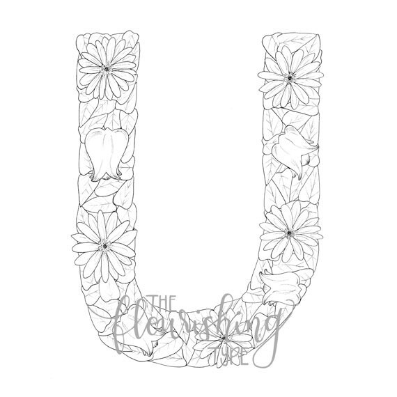 Printable Colouring Page Letter U Floral Inspired Ursinia | Etsy