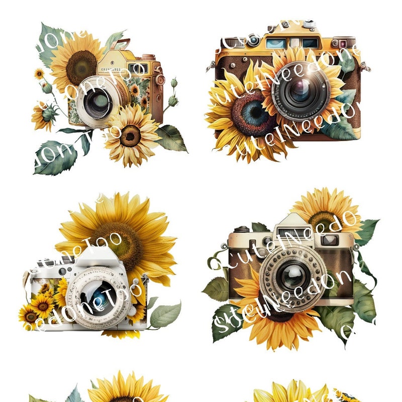 Sunflower Waterslide - Etsy