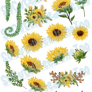 Sunflowers & Eucalyptus, Sunflower Frames, Sunflower Decals on Clear ...