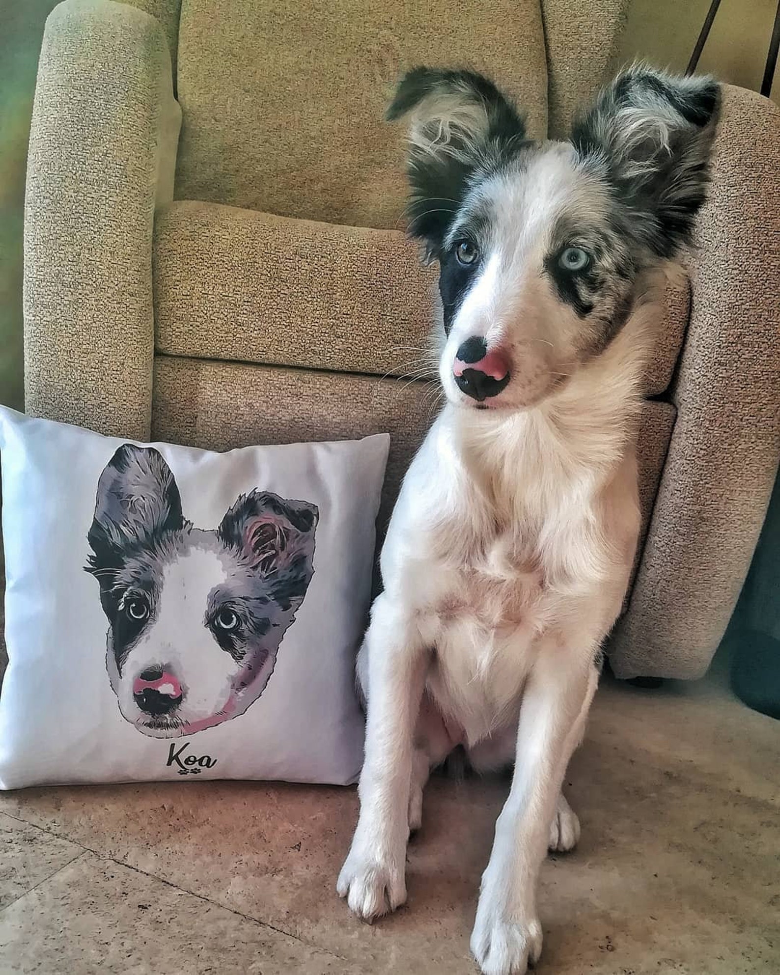 Personalized Pet Portrait Pillow: Custom Dog Cushion, Pet Lover Gift - Etsy