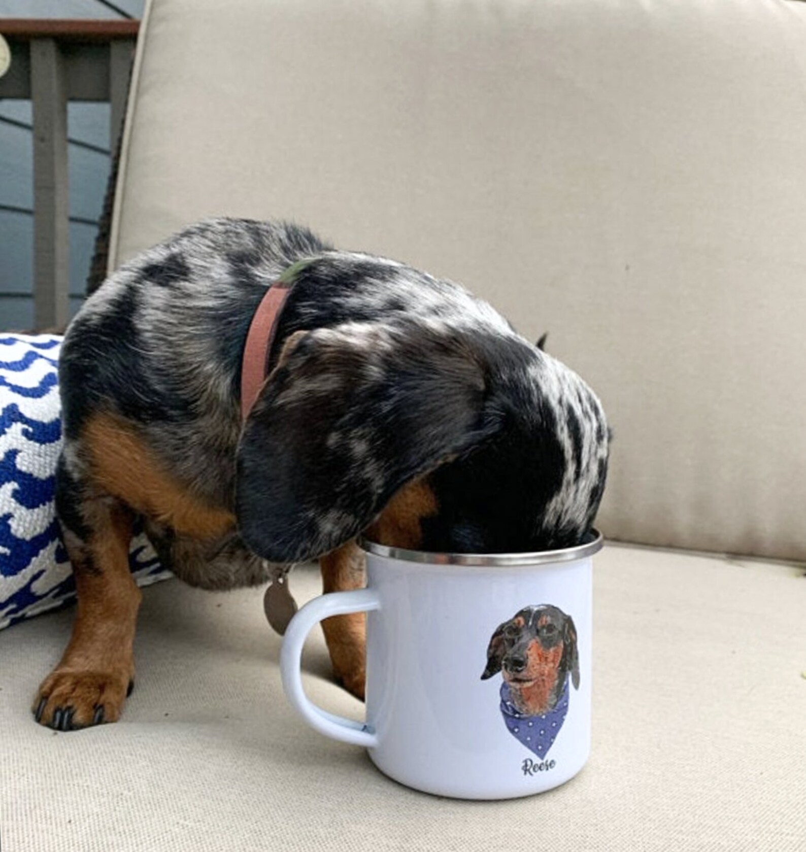 Your Dog on Mug Pet Lovers Gift Dog Mug Personalized Dog - Etsy