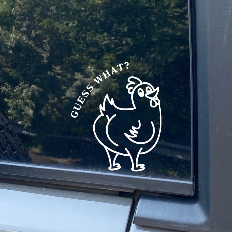 Car Window Decals Funny - Etsy