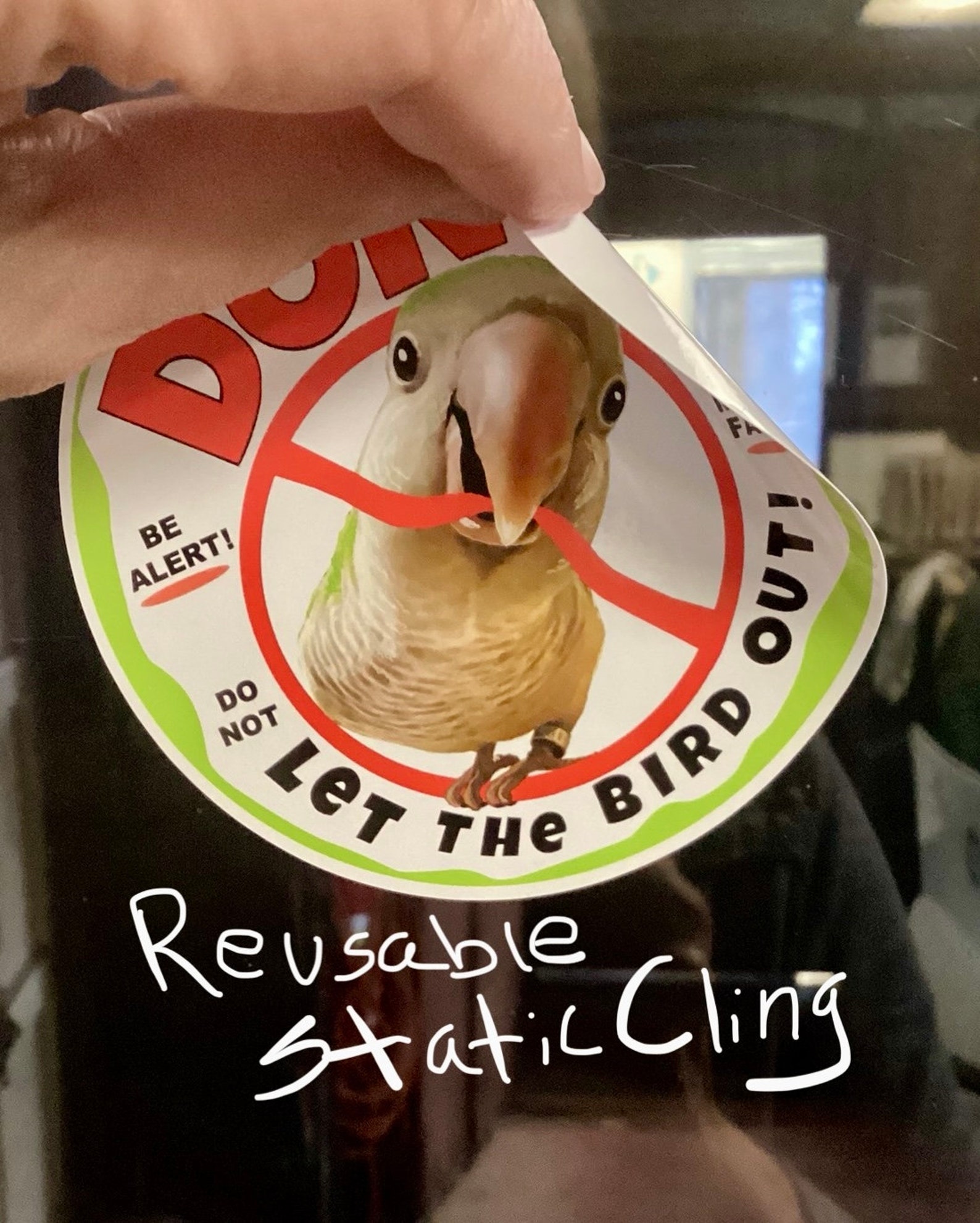 DON’T Let the Bird Out Sticker Decal & Static Cling Set - Etsy