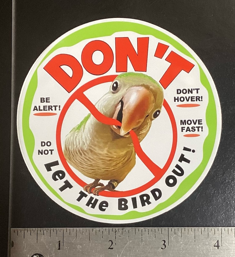 DON’T Let the Bird Out Sticker Decal & Static Cling Set - Etsy