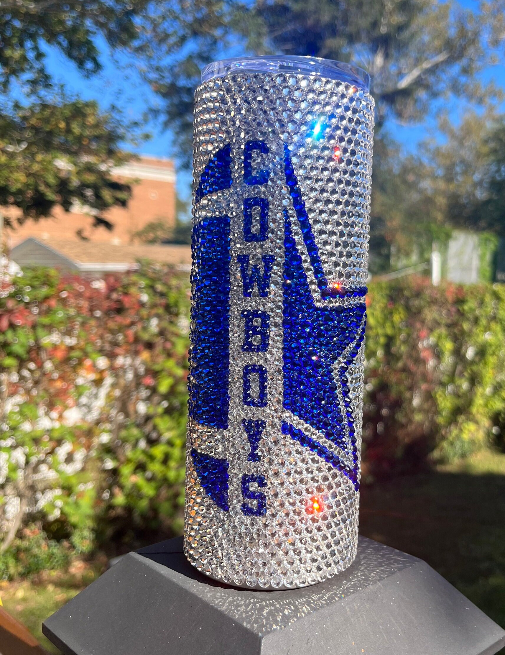 Dallas Cowboys Silver and Blue NFL Football Cup 20 Oz Stainless Steel ...