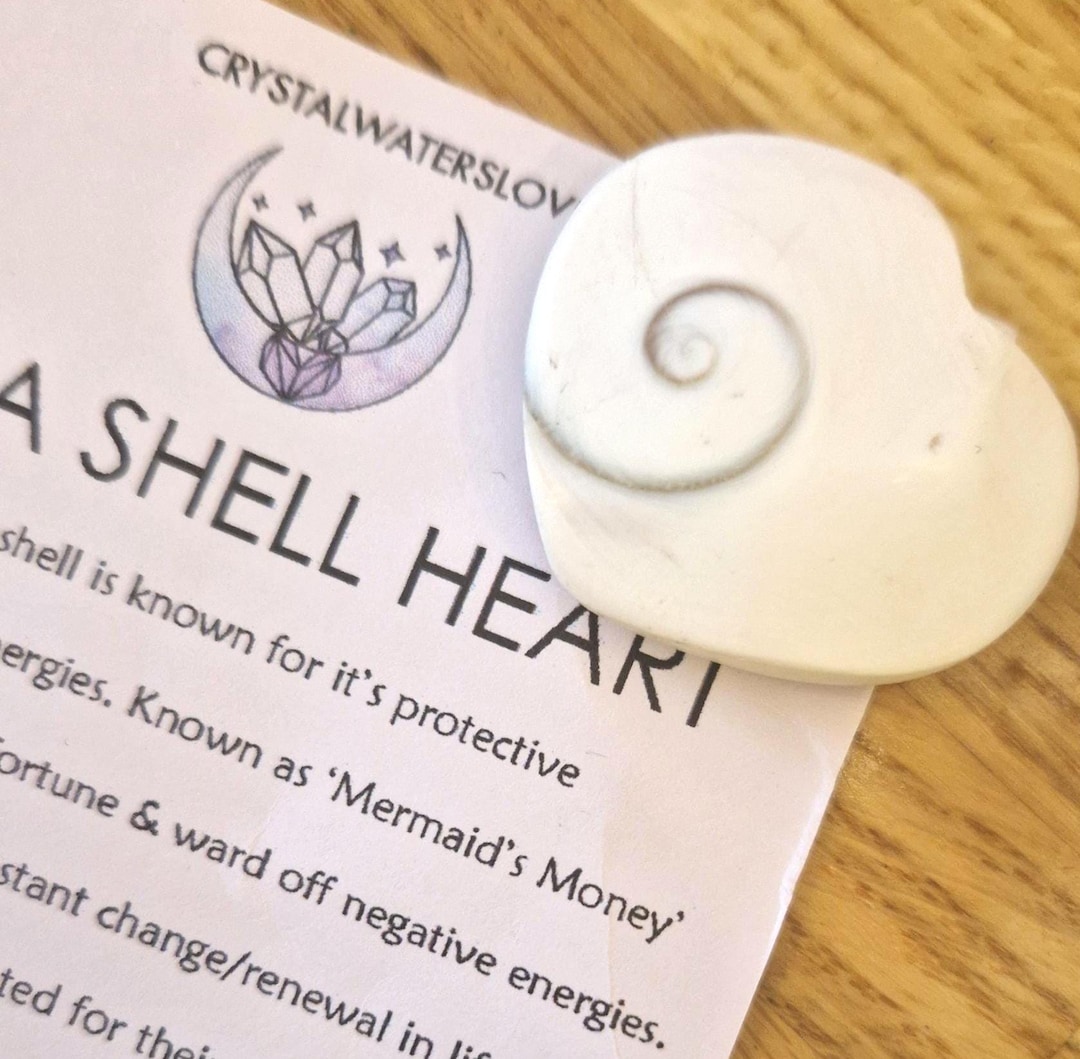 Shiva Shell Heart, Mermaid Stone, Good Fortune Gift, Mermaid Money, for ...