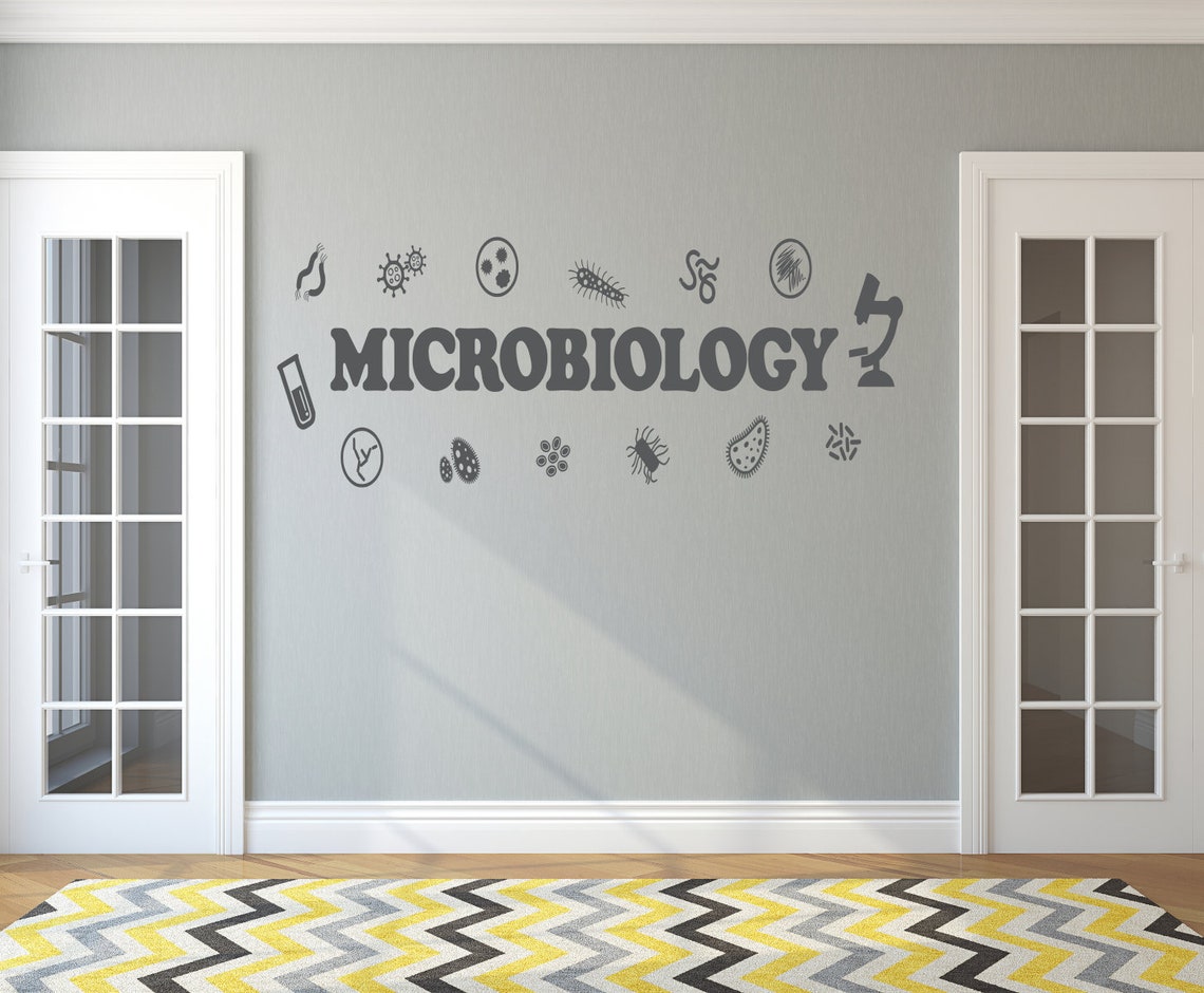 Microbiology Wall Decal Microbiology Decor Classroom Wall - Etsy