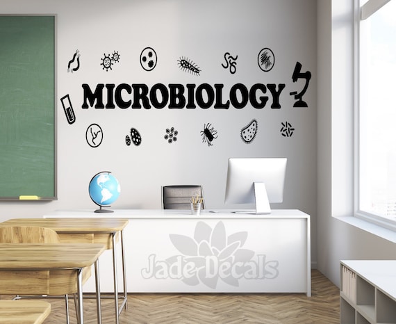 Microbiology Wall Decal Microbiology Decor Classroom Wall - Etsy