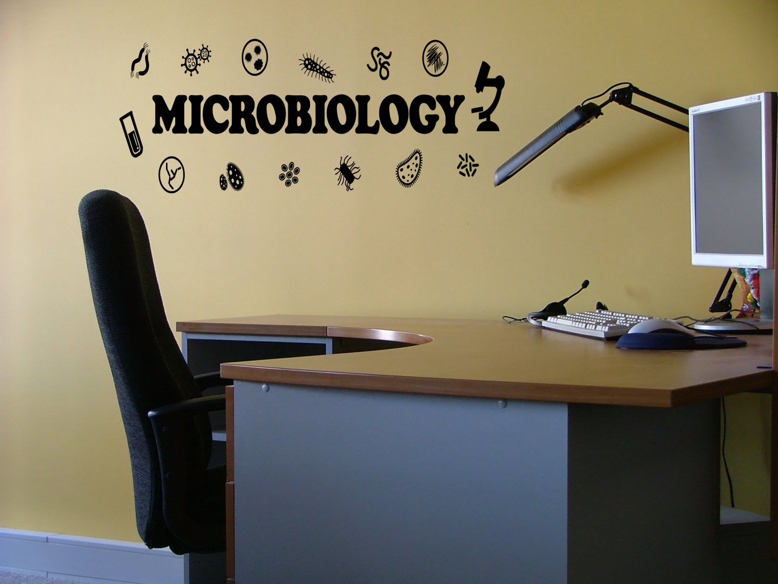 Microbiology Wall Decal Microbiology Decor Classroom Wall - Etsy