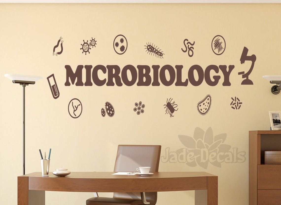 Microbiology Wall Decal Microbiology Decor Classroom Wall | Etsy