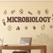 Microbiology Wall Decal, Microbiology Decor, Classroom Wall Decal ...