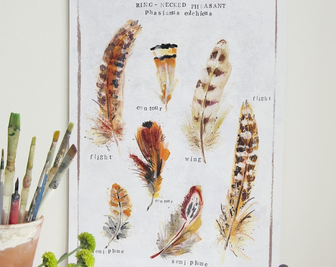 Pheasant Feathers Wildlife Wall Art Print | Etsy