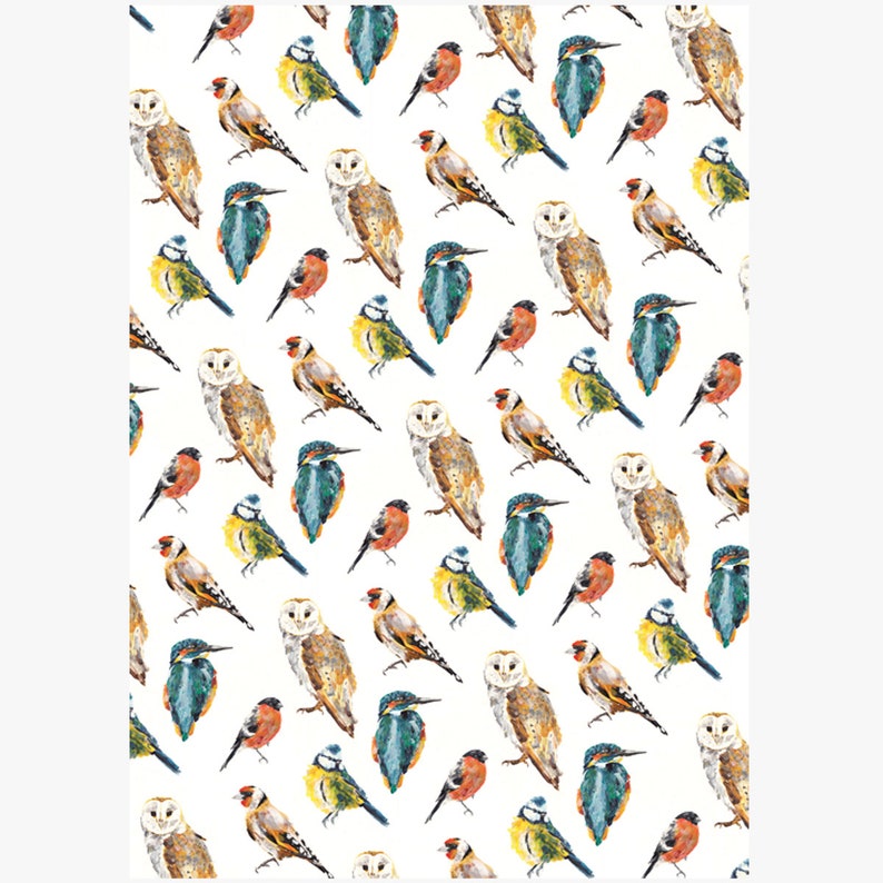 Garden Bird Gift Wrapping Paper Sheets Birthday Gift Wrap - Etsy