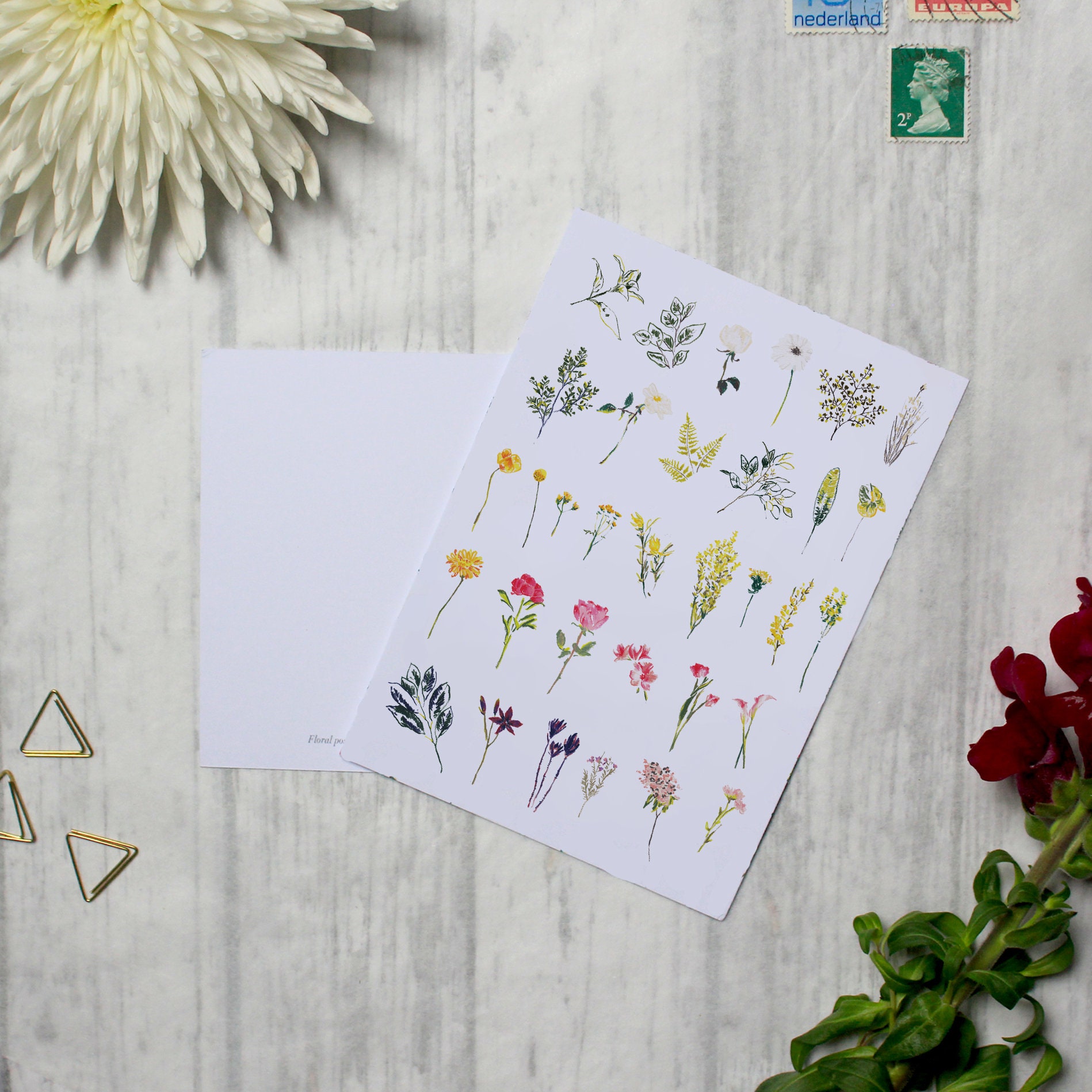 Floral Art Postcard Postcard Sets Wildflower Postcards - Etsy UK