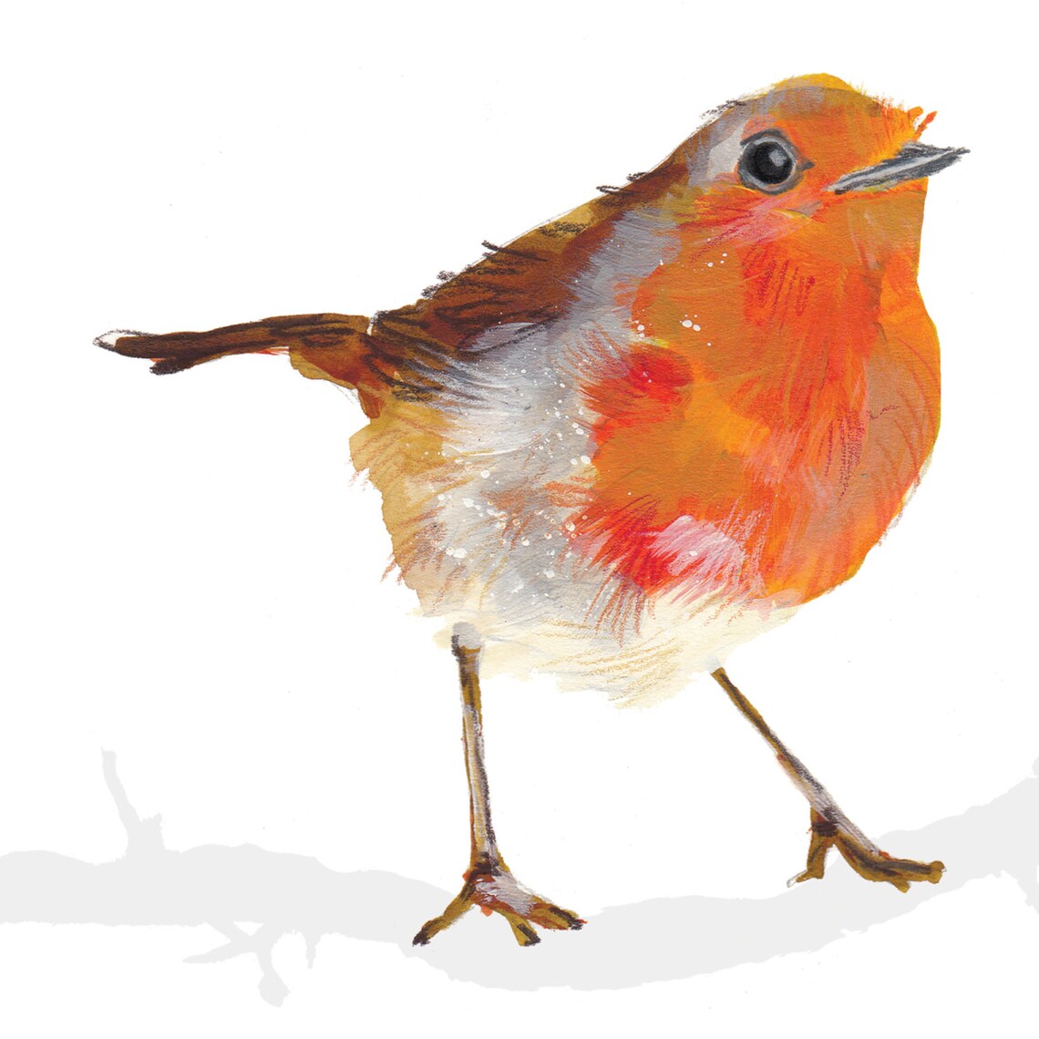 British Red Robin Garden Bird A5 Wall Art Print - Etsy UK