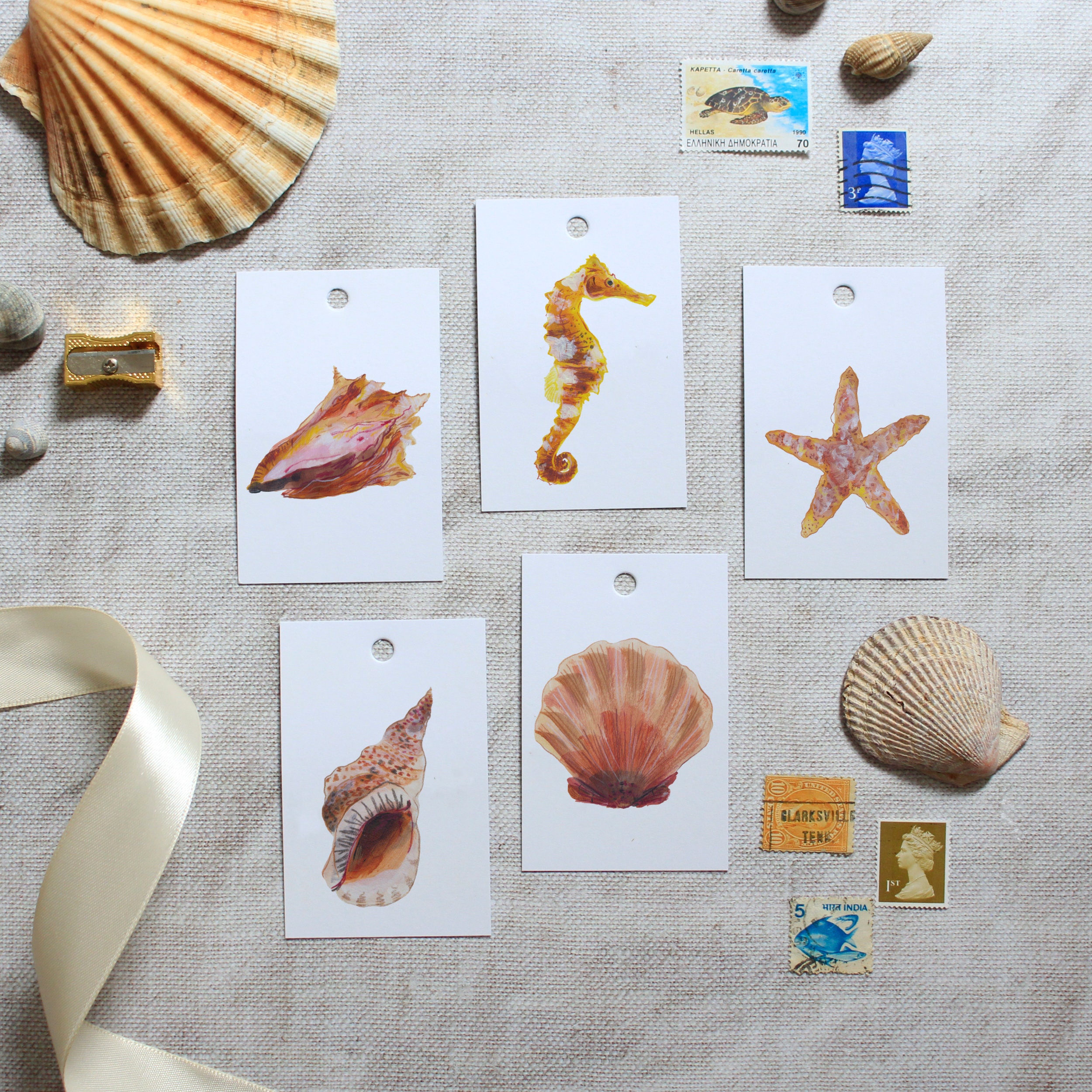 Seashell Gift Tag Set Seashell Stationery Seashell Gift - Etsy UK