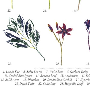 Floral British Wildflower Digital Art Print With Botanical Drawings for ...
