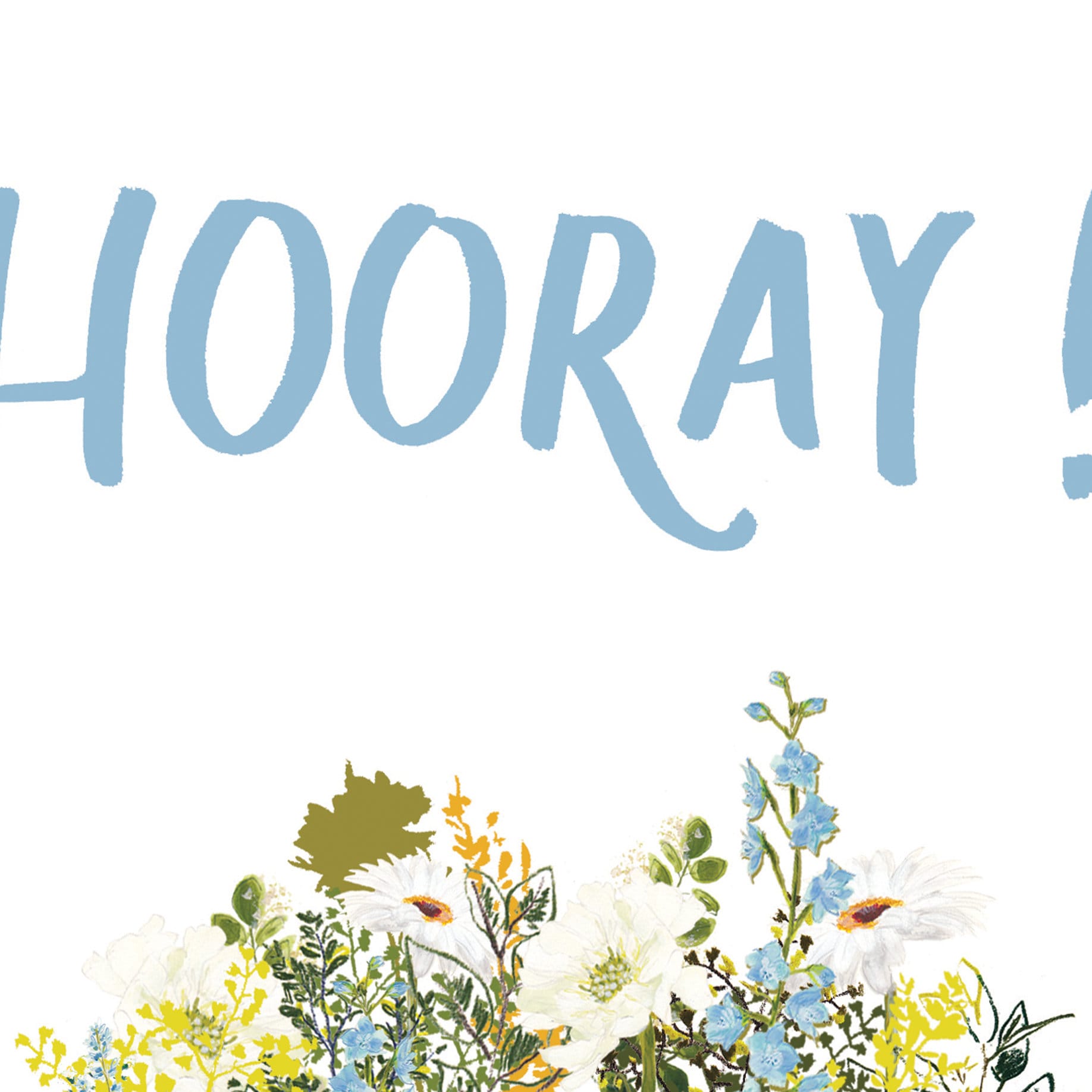 Hooray Celebration Greetings Card — Abby Cook Illustration
