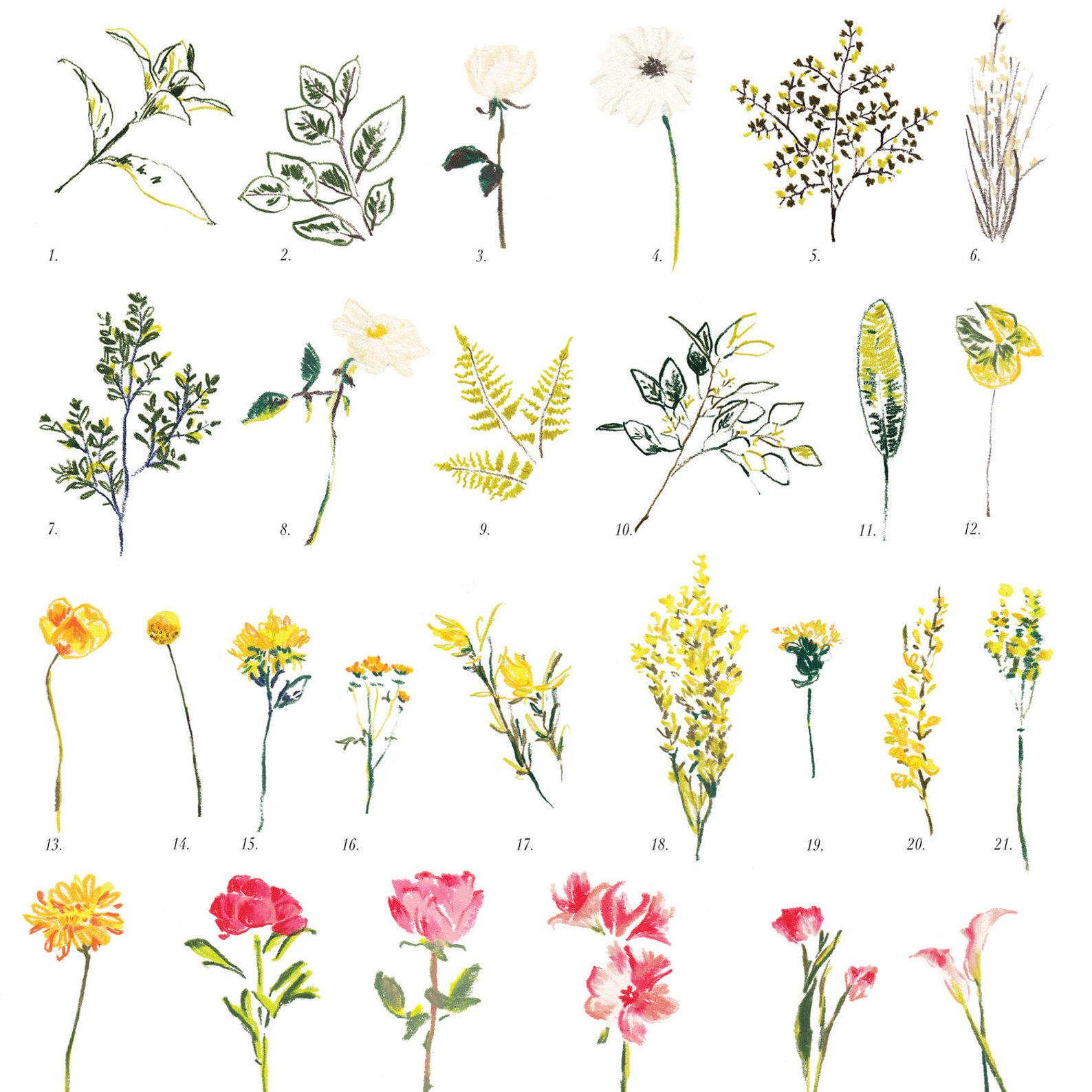 Floral British Wildflower Digital Art Print With Botanical - Etsy UK