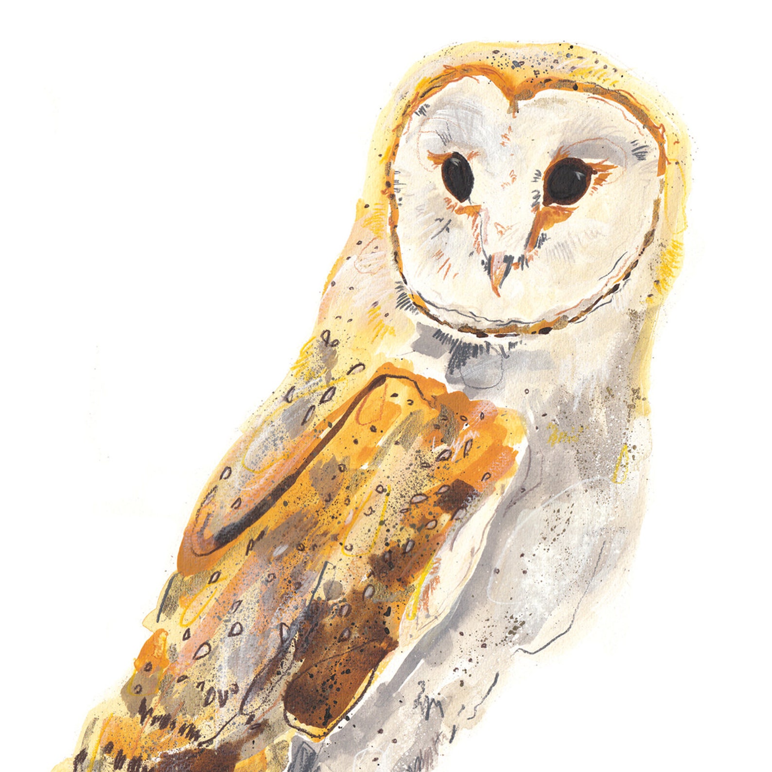 British Barn Owl Wildlife A5 Digital Art Print - Etsy UK