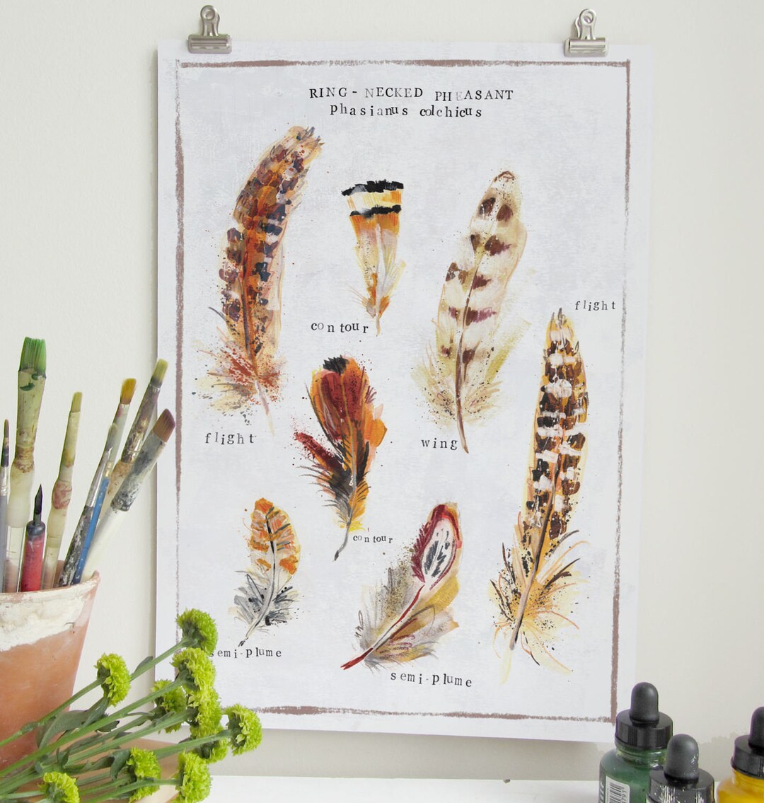 Pheasant Feathers Wildlife Wall Art Print - Etsy