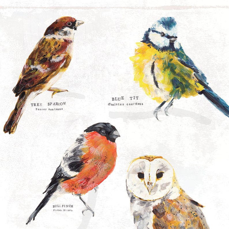 British Garden Birds Collection Digital Art Print - Etsy UK