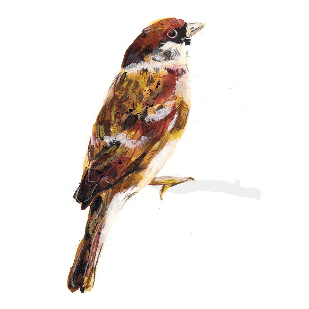 Sparrow Illustration Bird Wildlife Print | Etsy UK