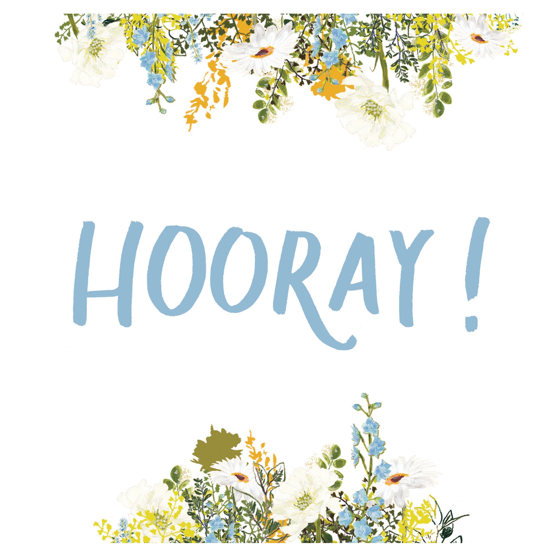 Hooray Celebration Greetings Card — Abby Cook Illustration