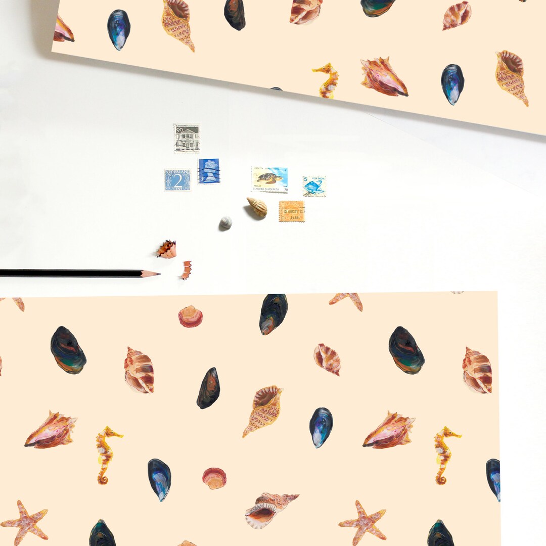 Seashell Gift Wrap, Birthday Gift Wrap, Hand Drawn Gift Wrap - Etsy
