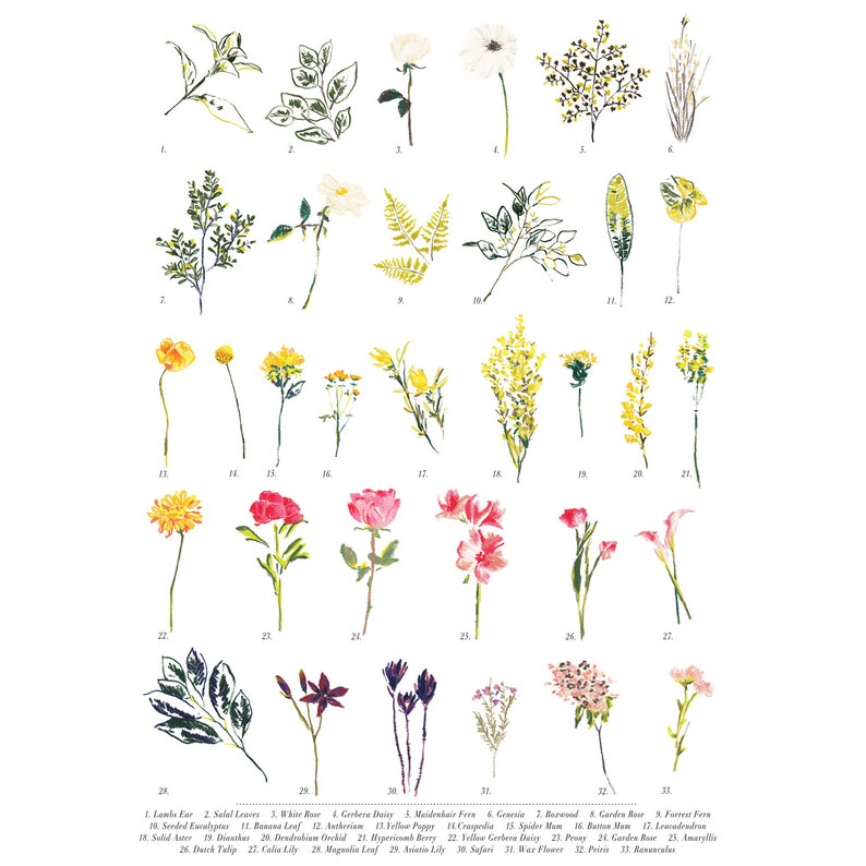 Floral British Wildflower Digital Art Print with Botanical | Etsy