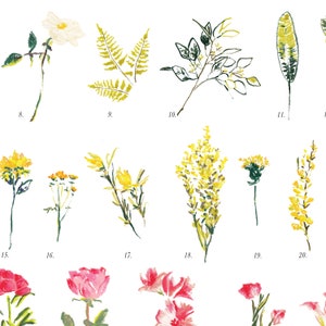 Floral British Wildflower Digital Art Print With Botanical Drawings for ...