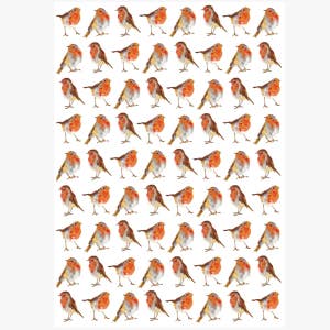 Robin A6 Postcard Set, Christmas Postcards, Stationery Gift, British ...